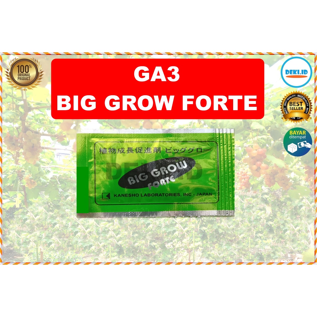 Jual GA3 Big Grow Forte Sachet Hormon Giberelin Acid Biggrow Asam ...