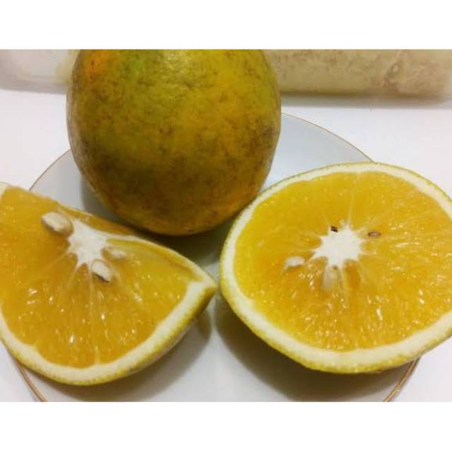 Jual Jeruk Baby Java Malang Manis 1 kg | Shopee Indonesia