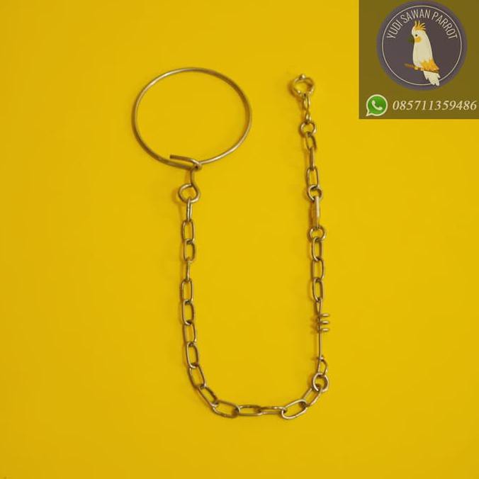 Jual Rantai Rante Burung Paltem Nuri Maluku Ambon Pelangi Duski Tanibar ...