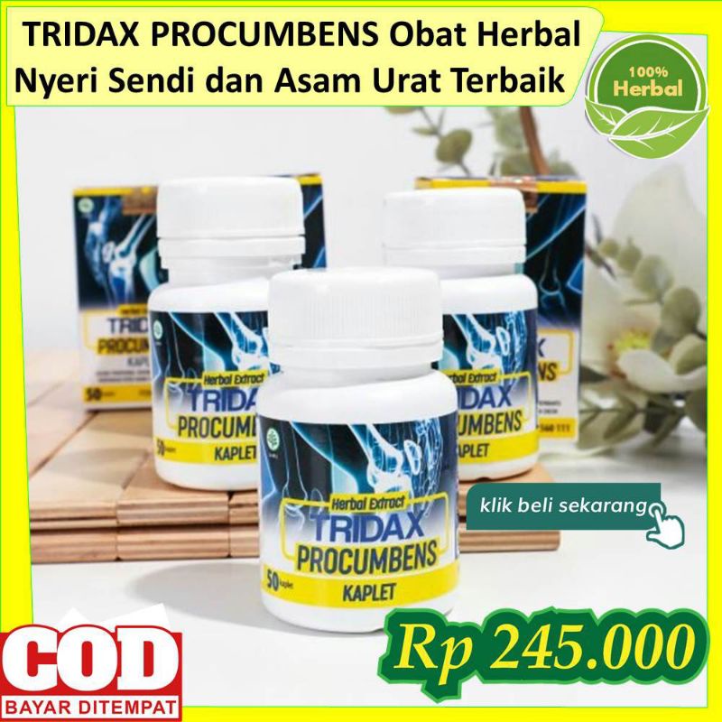 Jual ORIGINAL TRIDAX PROCUMBENS HERBAL OBAT ASAM URAT,OBAT REMATIK ...
