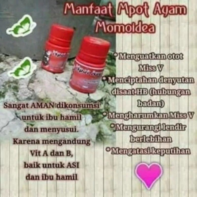 Jual Mpot Ayam Momo | Shopee Indonesia