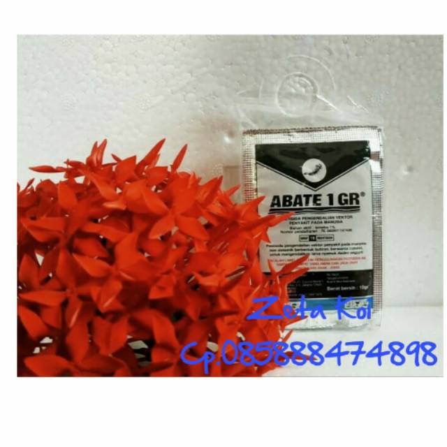 Jual Abate 10 gram | Shopee Indonesia
