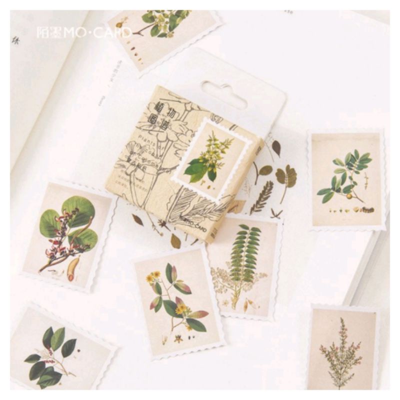 Jual 45pcs Sticker Daun Daun Aesthetic | Shopee Indonesia