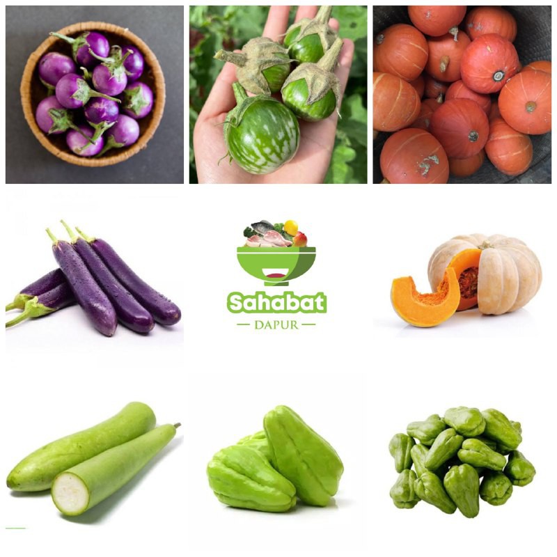 Jual Aneka Sayur Labu / Terong Terong Ungu/Terong Bulat/Labu Siam/Labu ...