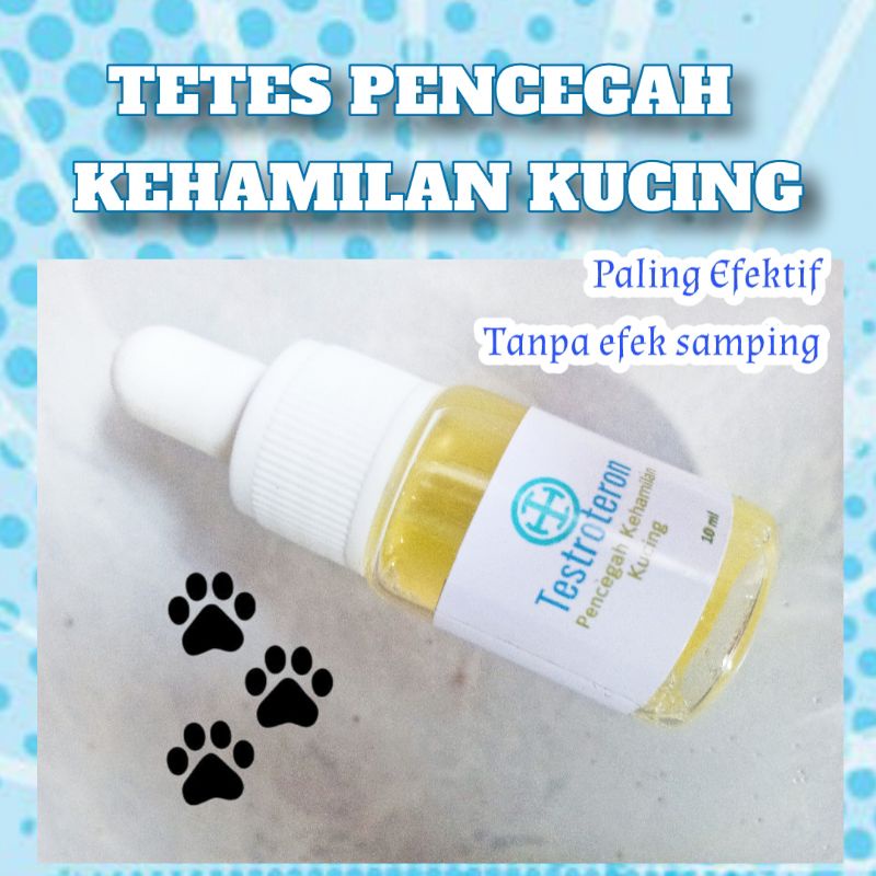 Jual KB kucing pencegah kehamilan | Shopee Indonesia
