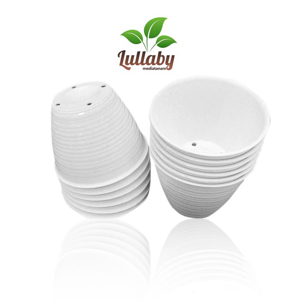 Jual POT PUTIH TAWON 12CM | Shopee Indonesia