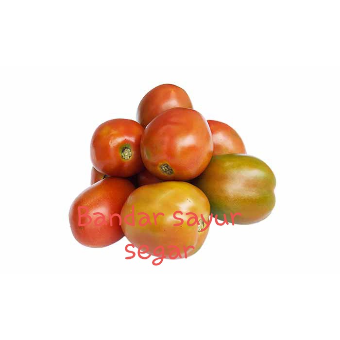 Jual Sayuran tomat segar bagus baru murah | Shopee Indonesia
