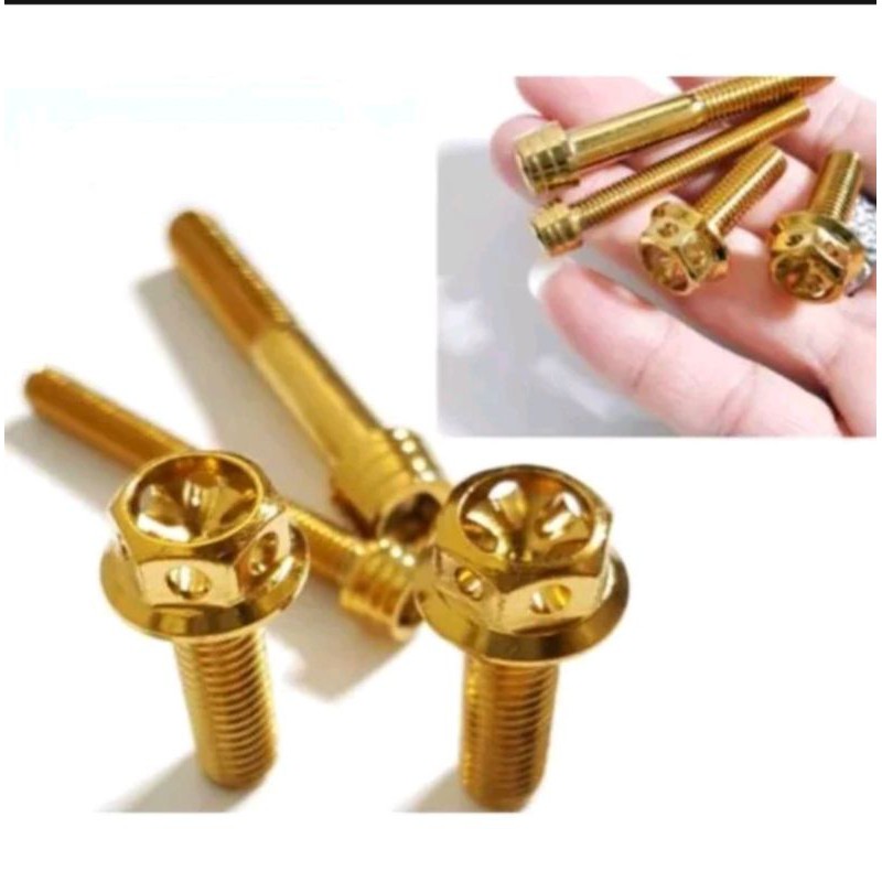 Jual baut problot gold universal untuk breket kaliper monoblok untuk Honda dan Yamaha | Shopee ...