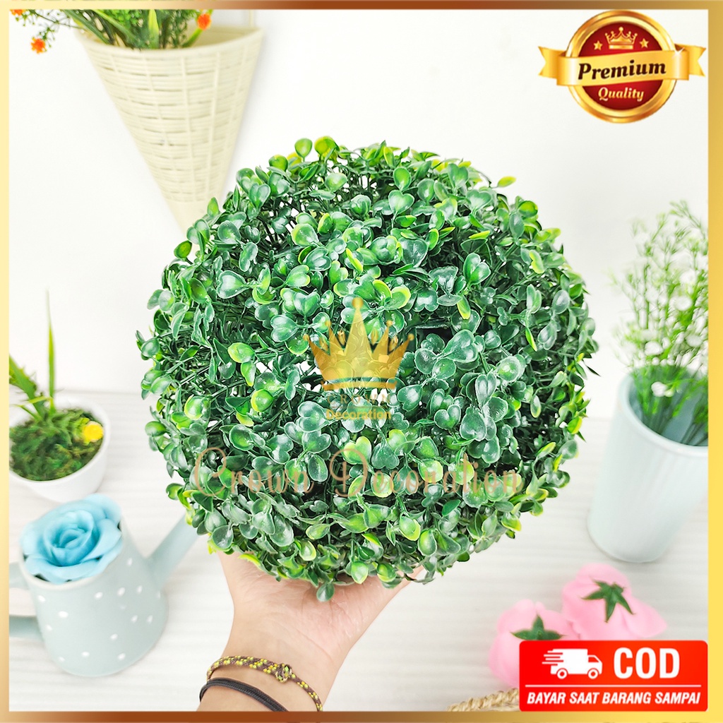 Jual Rumput Bola Oxylia - Dekorasi/ COD/ Hiasan/ Rumput Hias ...