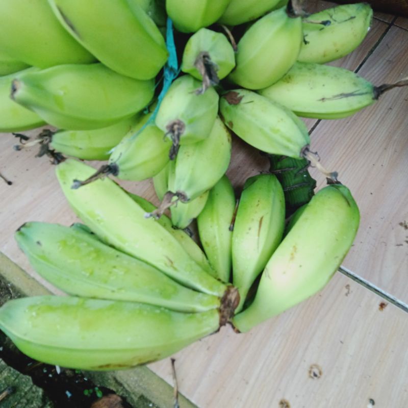 Jual Buah pisang batu pisang kelutuk muda satu sisir | Shopee Indonesia