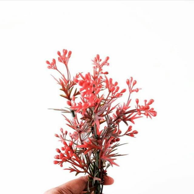 Jual BUNGA BUTIR MERAH / PROPERTI FOTO | Shopee Indonesia