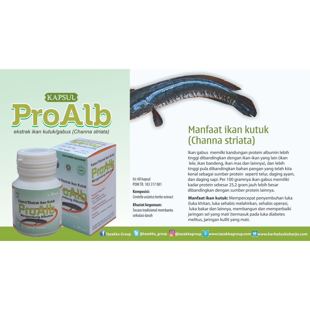 Jual kapsul pro alb ekstrak ikan kutuk original ampuh mempercepat ...