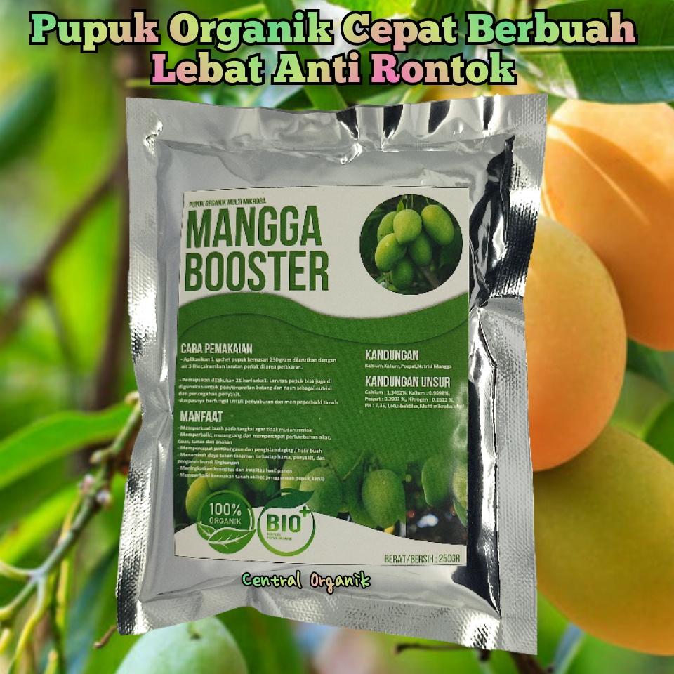 Jual Pupuk Booster Mangga Organik Cepat Berbuah Lebat Atasi Rontok ...