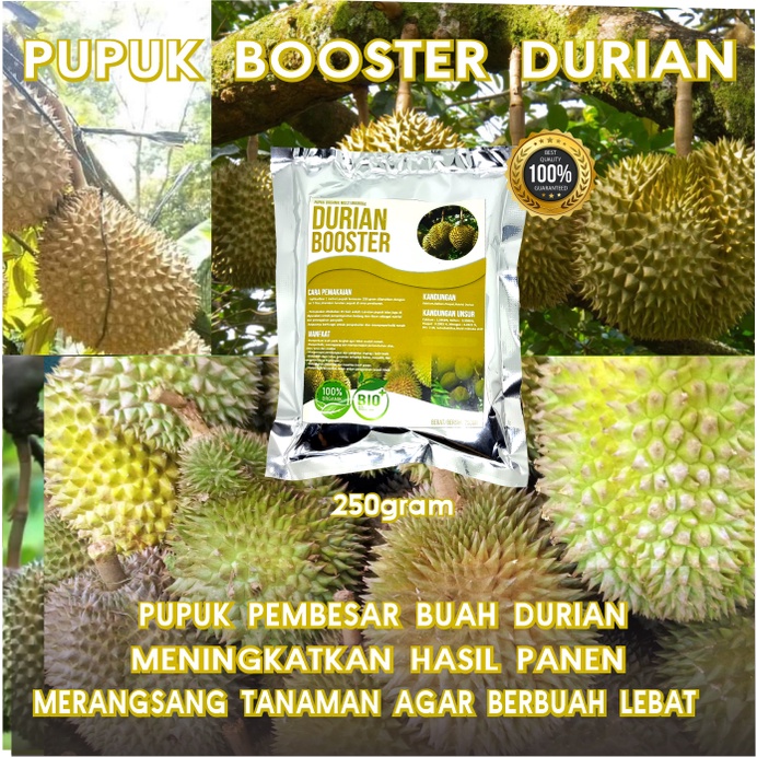 Jual Pupuk Booster Organik Pelebat Buah Durian dan Perangsang Durian Agar Cepat Berbuah Lebat ...