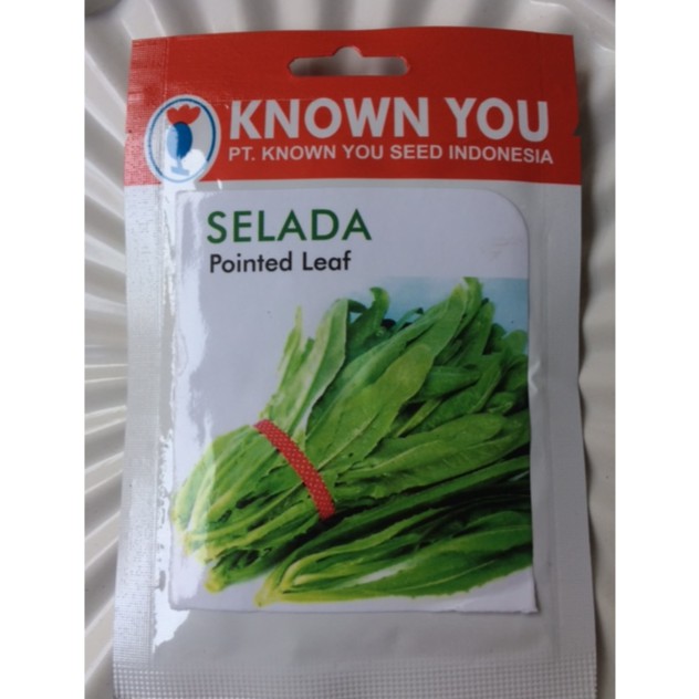 Jual Benih Selada Wangi Siomak Pointed Leaf, Known You Seed, original ...