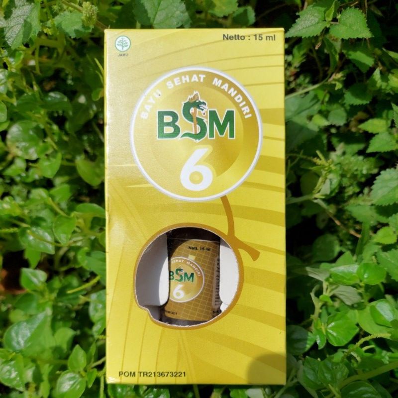 Jual BSM 6 / BSM6 ORIGINAL Jamu Tetes Herbal Bayu Sehat Mandiri ...
