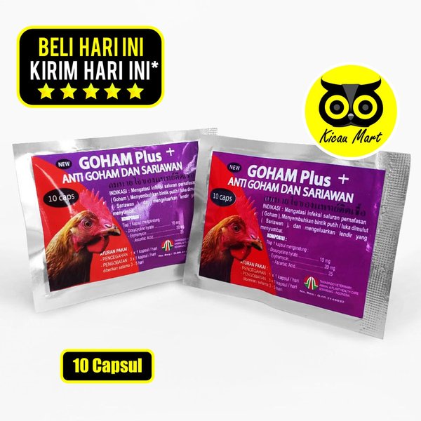 Jual Obat Goham Plus + 10 Capsul Obat Ayam Sariawan Anti Goham Atasi ...
