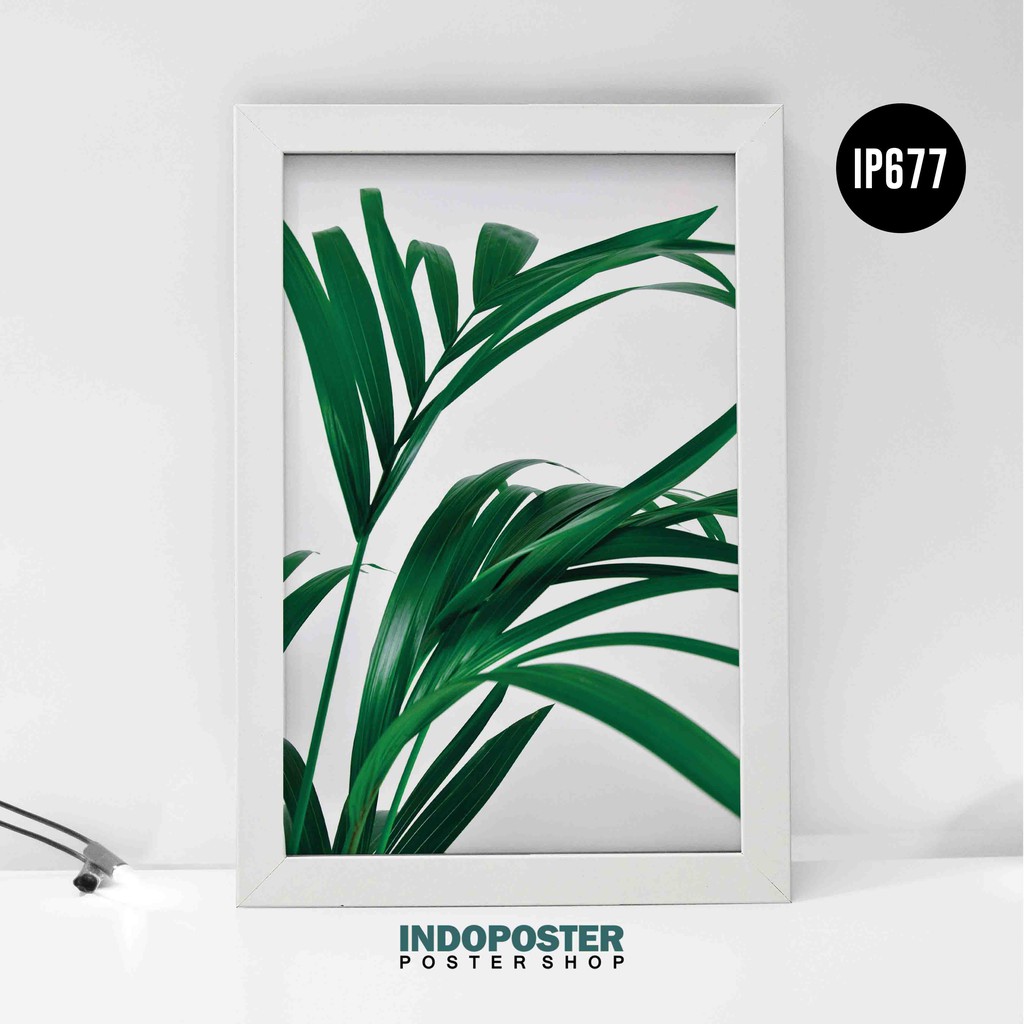 Jual Poster Scandinavian Minimalis Daun Palem | Shopee Indonesia