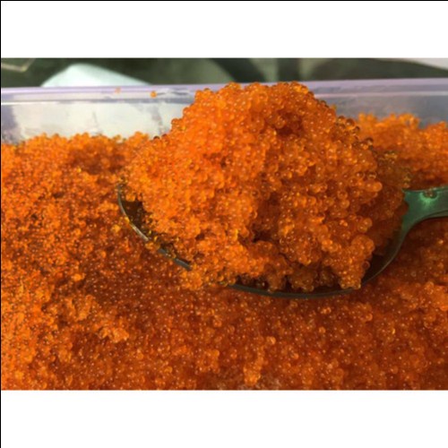 Jual Tobiko Orange Premium 50gr -100 gr | Flying Fish Roe Halal!! 50gr ...
