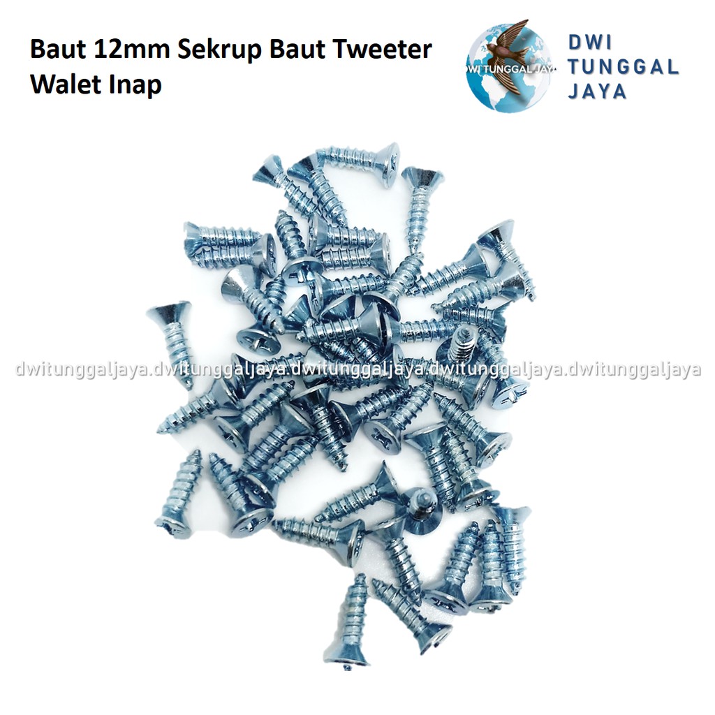 Jual Isi 100 Sekrup Skrup Mur Baut Untuk Tweeter Walet 12mm Tajam ...