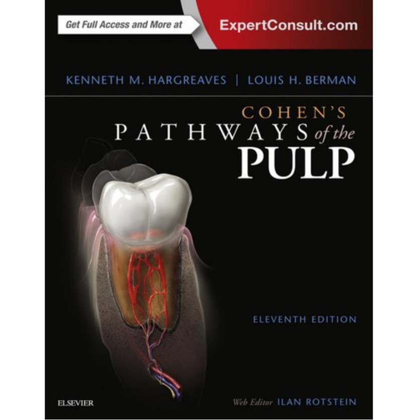 Jual Share: Favorit (1) Cohen's Pathways of the Pulp | Shopee Indonesia