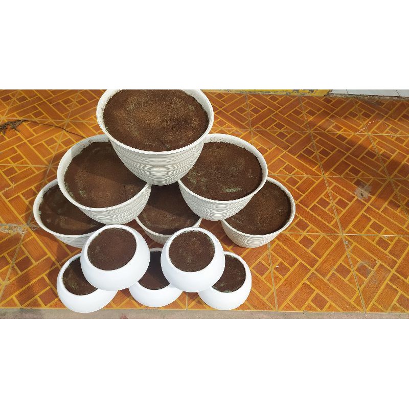 Jual pot isi busa tinggal tusuk bunga plastik / pot busa besar / pot ...