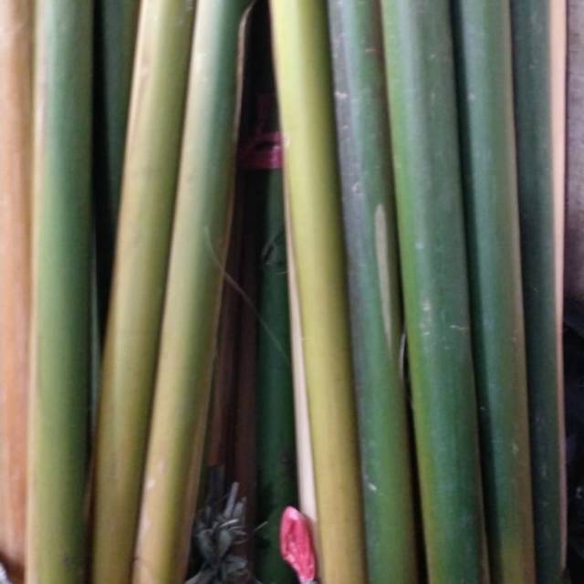 Jual Batang rias 1batang | Shopee Indonesia