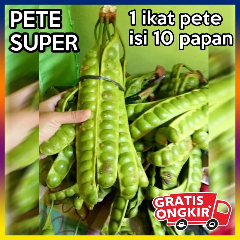 Jual Pete Jawa segar 1 ikat (dapat 10 papan) renyah manis | Shopee ...