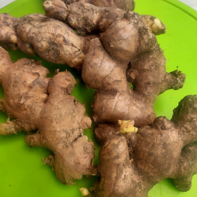 Jual jahe segar 500gram | Shopee Indonesia