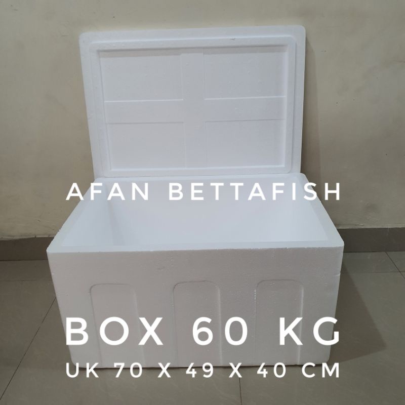 Jual STYROFOAM BOX AG 60 UNTUK 60KG 70x49x40 CM BOX STEREFOAM 60 KG ...
