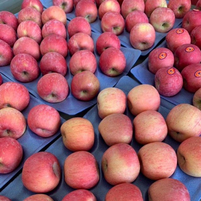 Jual SUPPLIER BUAH IMPORT | Apel Fuji China (Isi 125 pcs/box) | Shopee ...