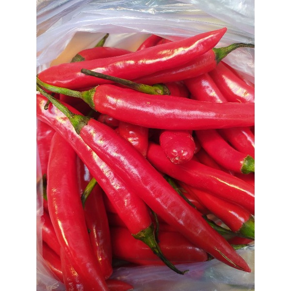 Jual Cabai Merah Gede Super(250g) | Shopee Indonesia