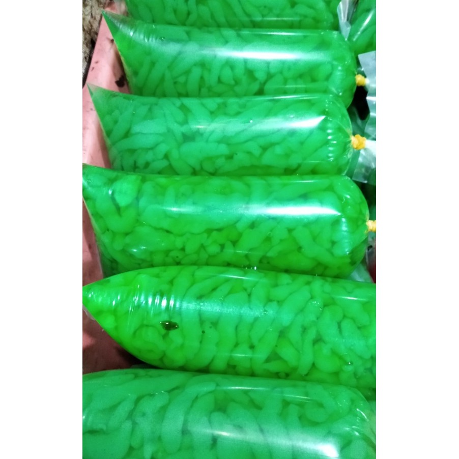 Jual Rumput Laut Basah / Mutiara Merah Cina / Cincau / Cendol per ...