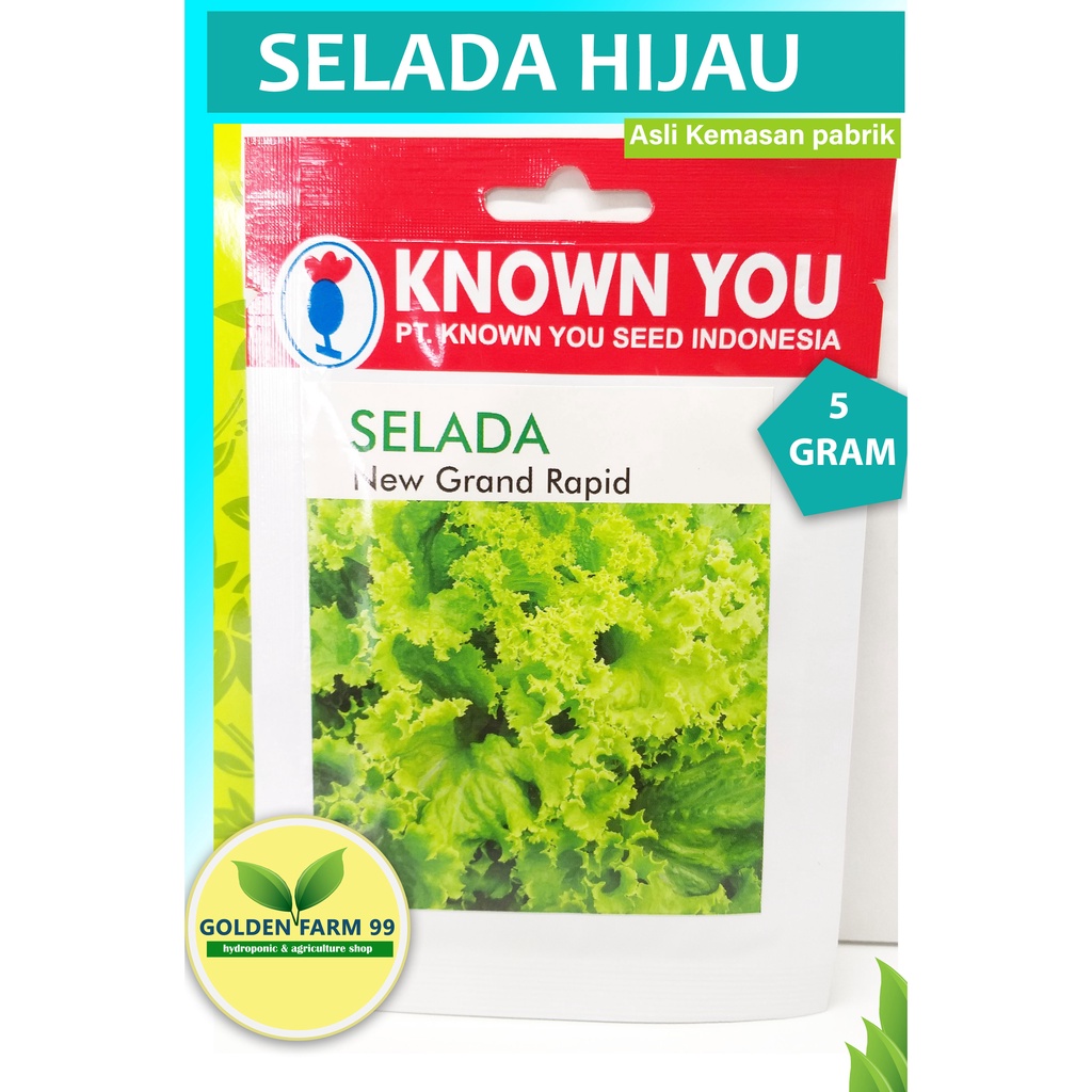 Jual Benih bibit selada Lettuce New Grand Rapid | Shopee Indonesia