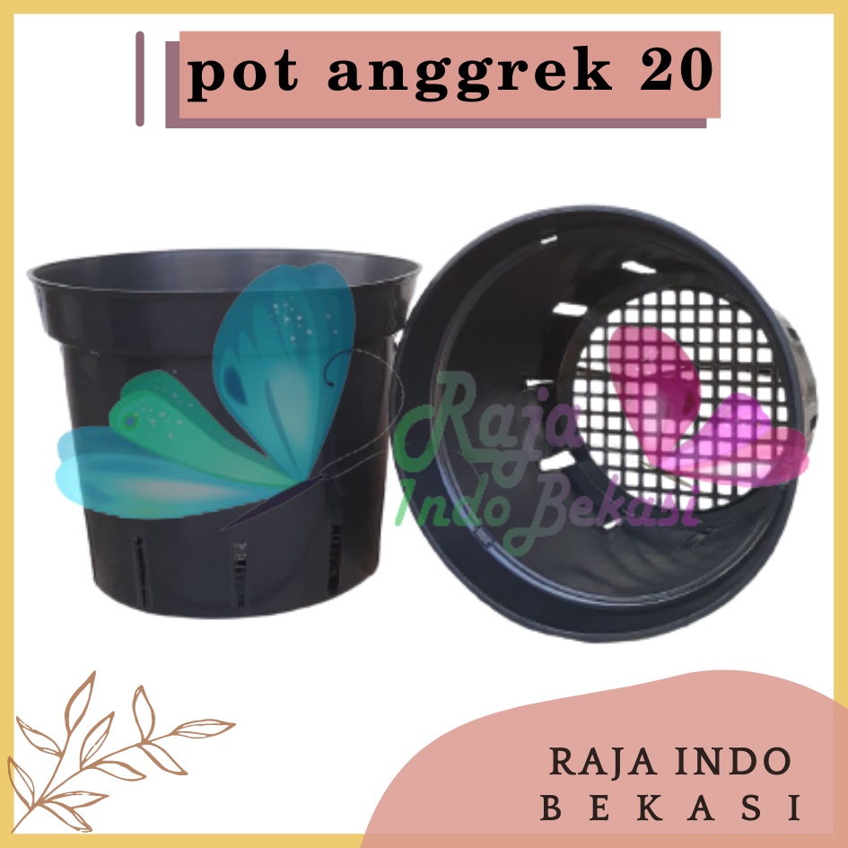 Jual Pot Plastik Anggrek Uk 20 Cm Pot Bunga Anggrek Orchid 20cm - Pot ...