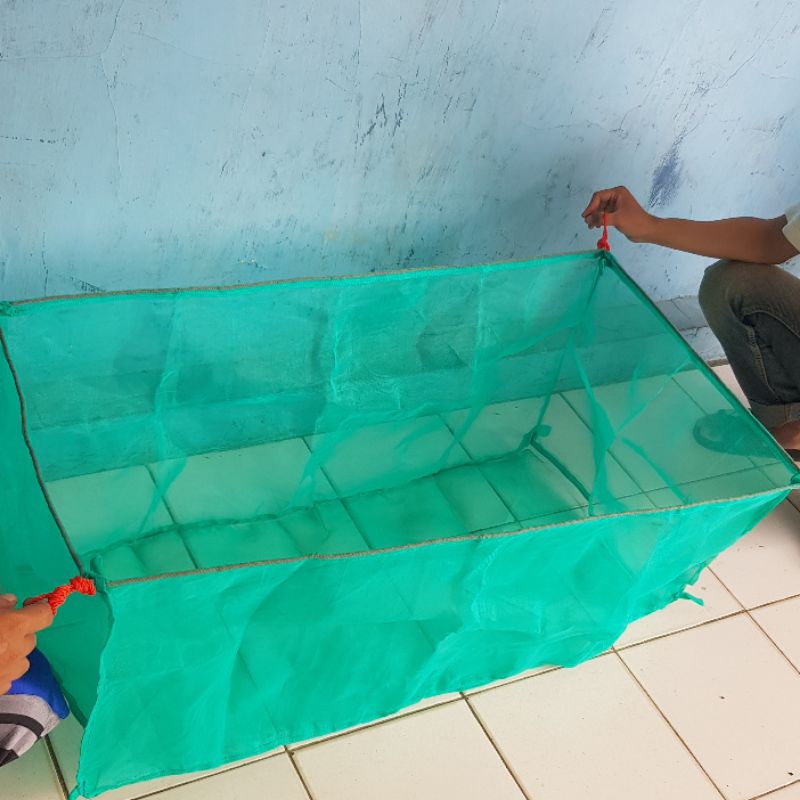 Jual KERAMBA IKAN HIAS MINI / KERAMBA IKAN GUPPY / KERAMBA IKAN CUPANG ... Jual KERAMBA IKAN HIAS MINI / KERAMBA IKAN GUPPY / KERAMBA IKAN CUPANG ...