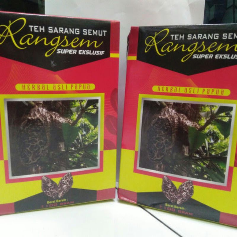 Jual Teh Sarang Semut RANGSEM Asli Papua, Teh Herbal Untuk Kanker Tumor ...