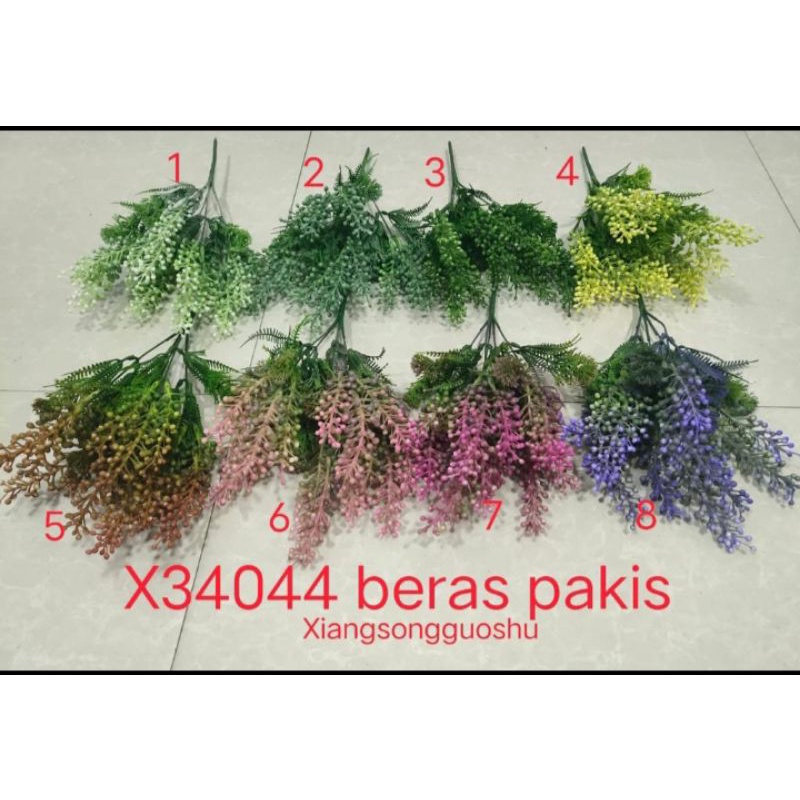 Jual Bunga pakis biji plastik / Pakis beras Tanaman Hias / 1 lusin ...
