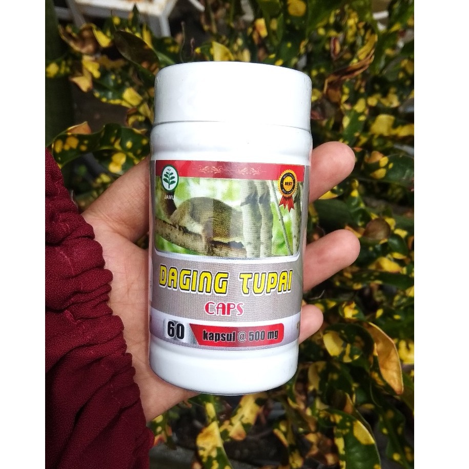 Jual Kapsul Daging Tupai (Diabetes) | Shopee Indonesia