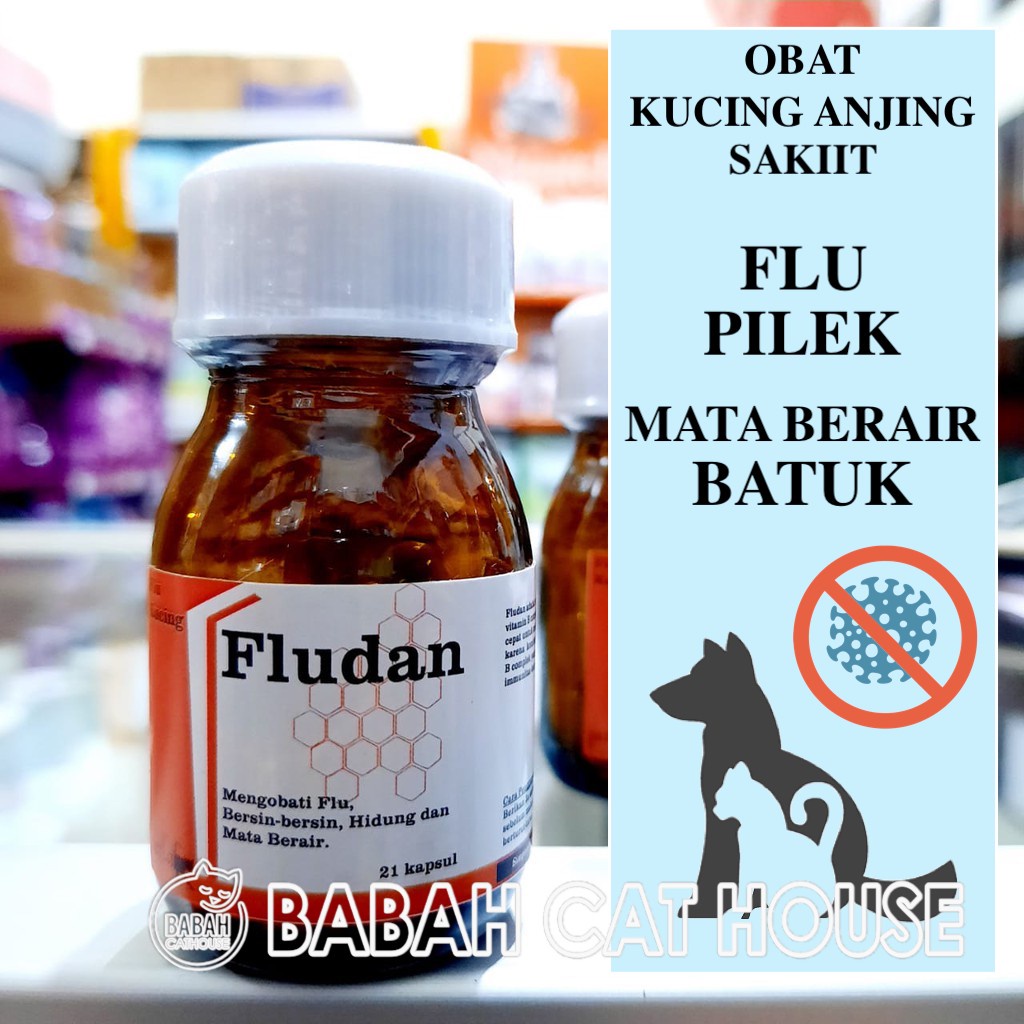 Jual FLUDAN KAPSUL Obat Flu Kucing Kitten Anjing Anak Hewan Pilek Cat ...