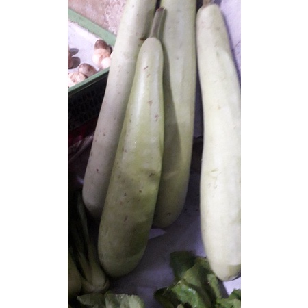 Jual labu air super 1kg | Shopee Indonesia