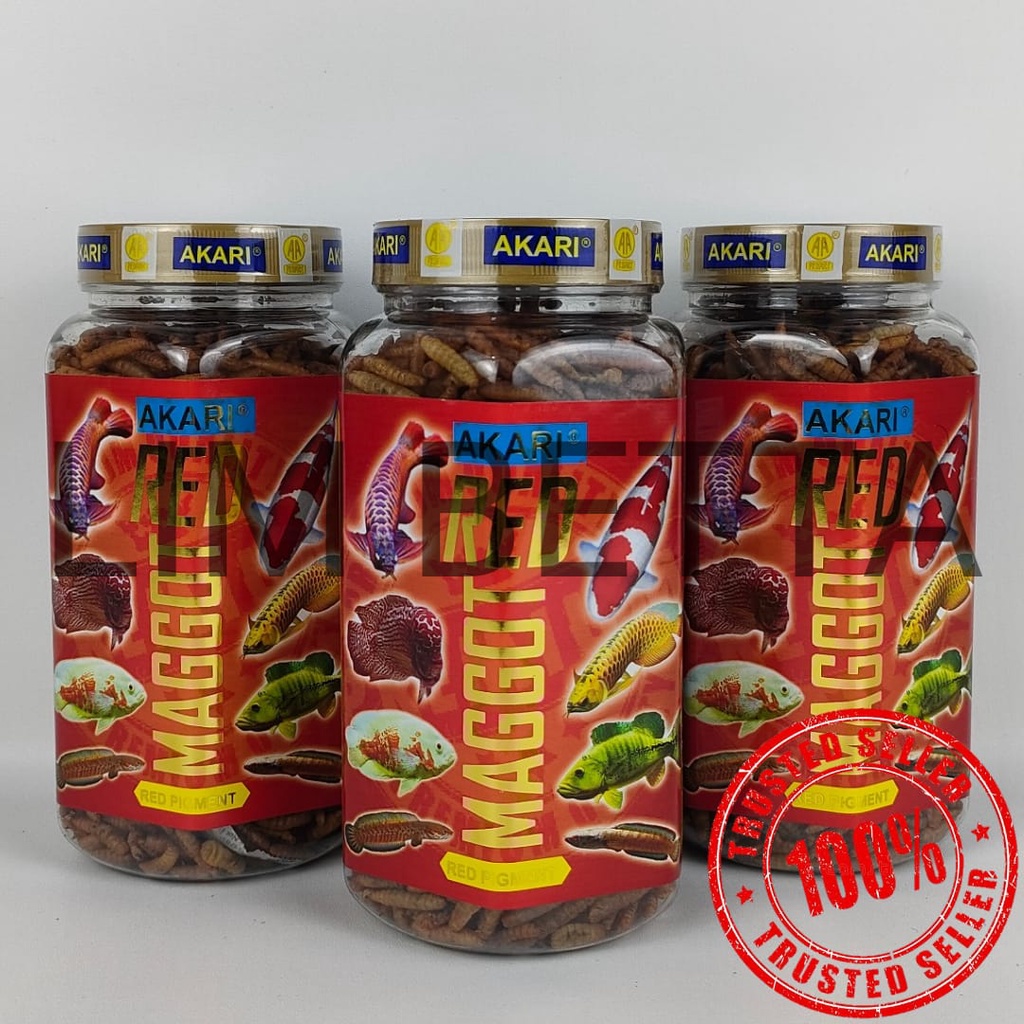 Jual MAGGOT RED 130 GRAM / AKARI MAGGOT RED / MAKANAN IKAN PREDATOR ...