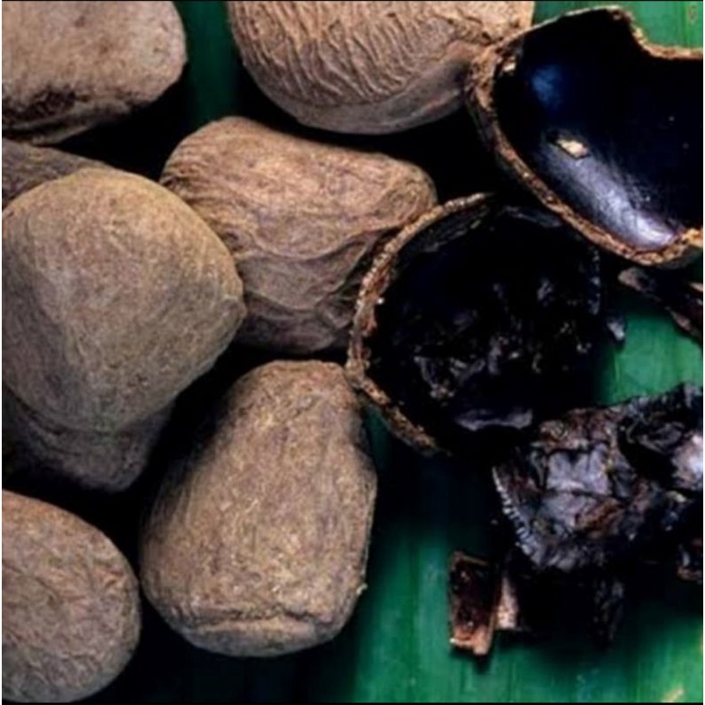 Jual Kluwek Rawon /Pucung/Picung 250gram | Shopee Indonesia