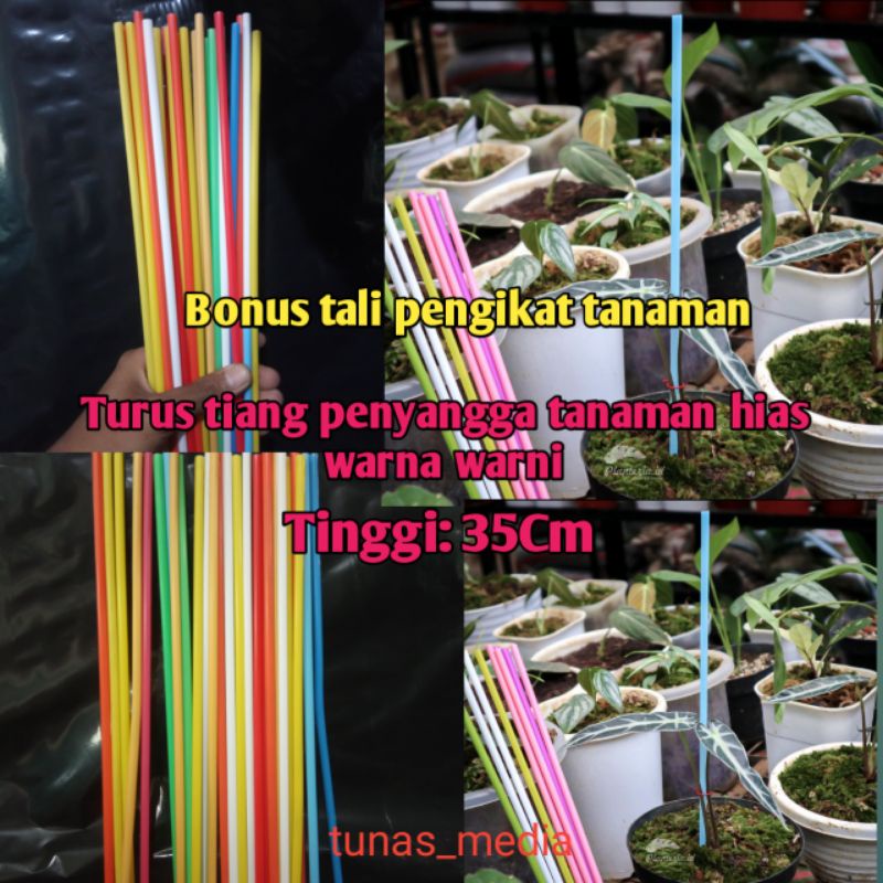 Jual Turus Plastik Tanaman Hias Warna-Warni/Turus Penyangga Tanaman ...