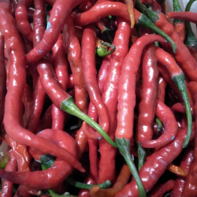 Jual Cabe keriting merah | Shopee Indonesia