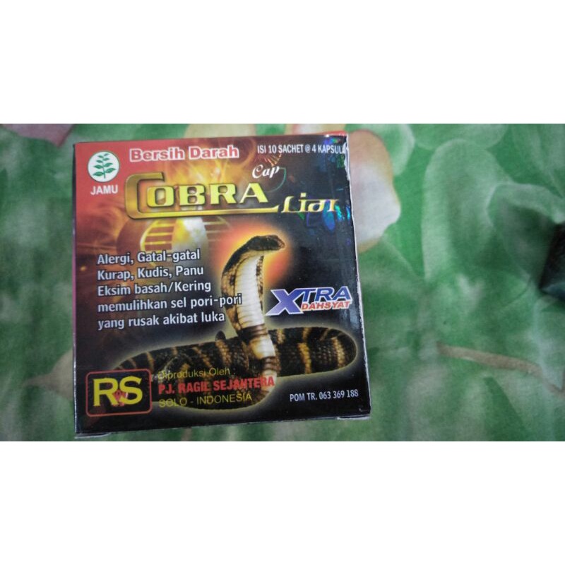 Jual jamu kapsul herbal gatal gatal cobra liar original | Shopee Indonesia