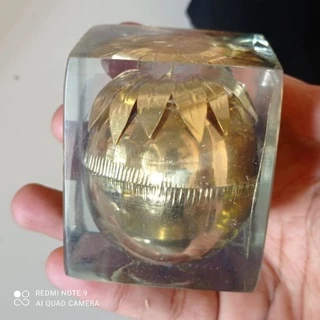 Jual Apel Jin Terlengkap & Harga Terbaru Juli 2024 | Shopee Indonesia