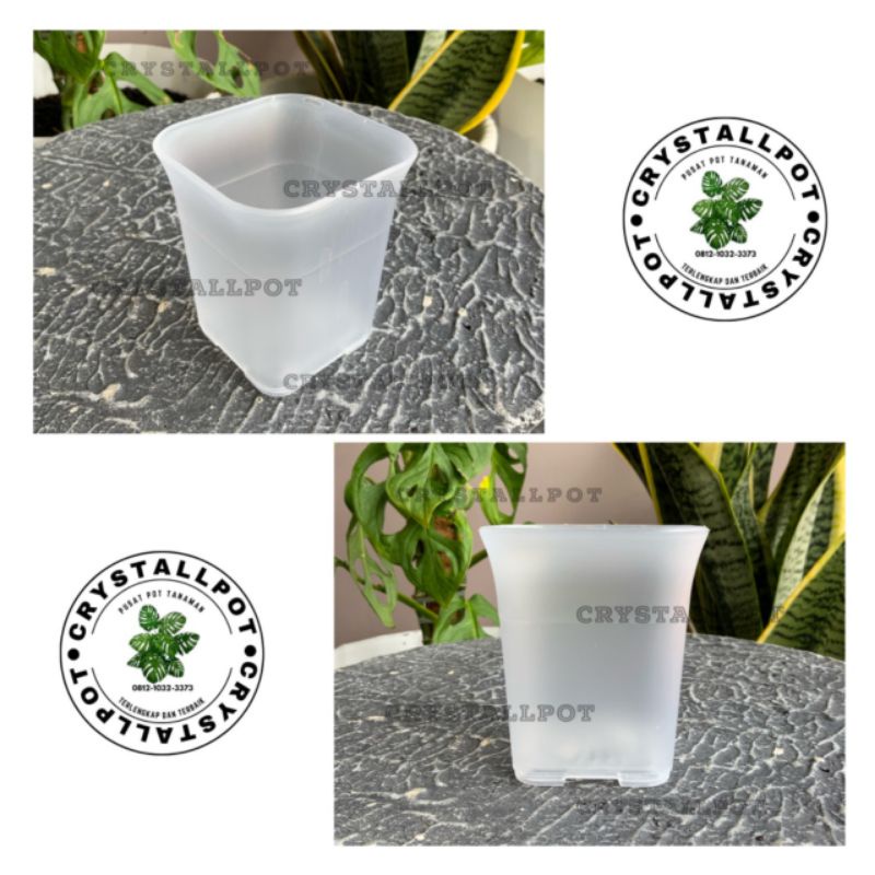 Jual POT BUNGA TANAMAN KOTAK JUOSS 7 BENING TRANSPARAN - NKT KOTAK 7 ...