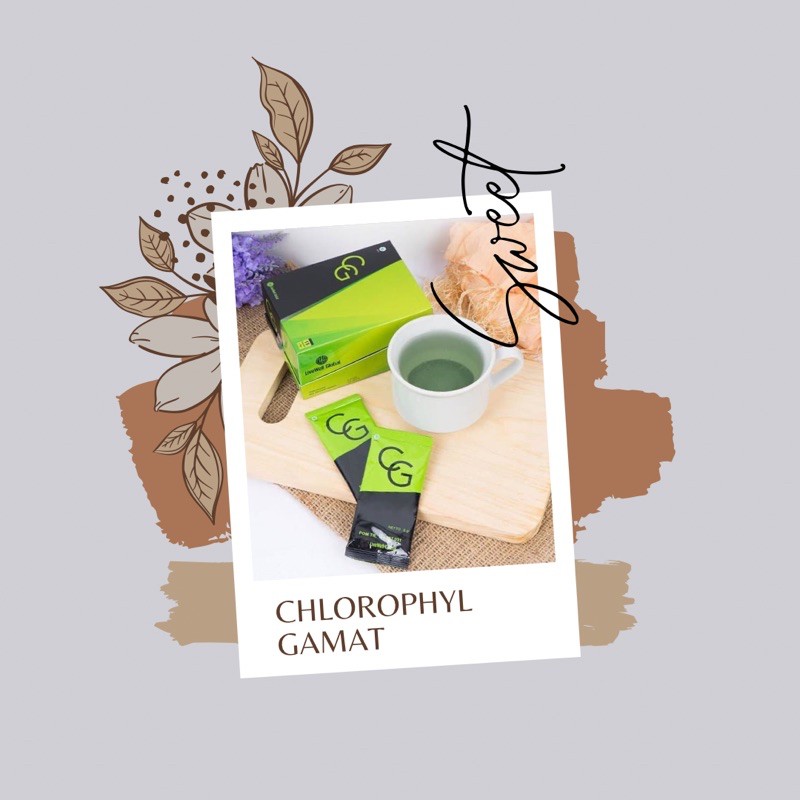 Jual Chlorophyl Gamat ( Suplemen untuk Diabetes, Kolesterol, Asam ...