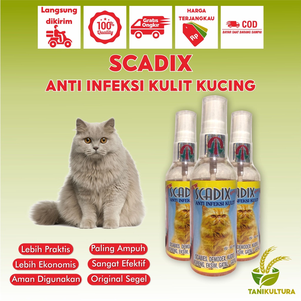 Jual Obat Infeksi Kulit Kucing Scabies Luka Scadix Spray Cat Kulit Aman ...